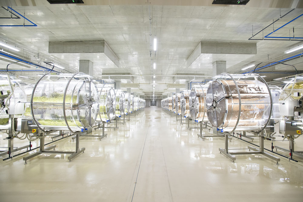 村上農園、完全人工光型植物工場となる 「スーパースプラウトファクトリー」を山梨県に新設 | AXIS Web | デザインの視点で、人間の可能 ...