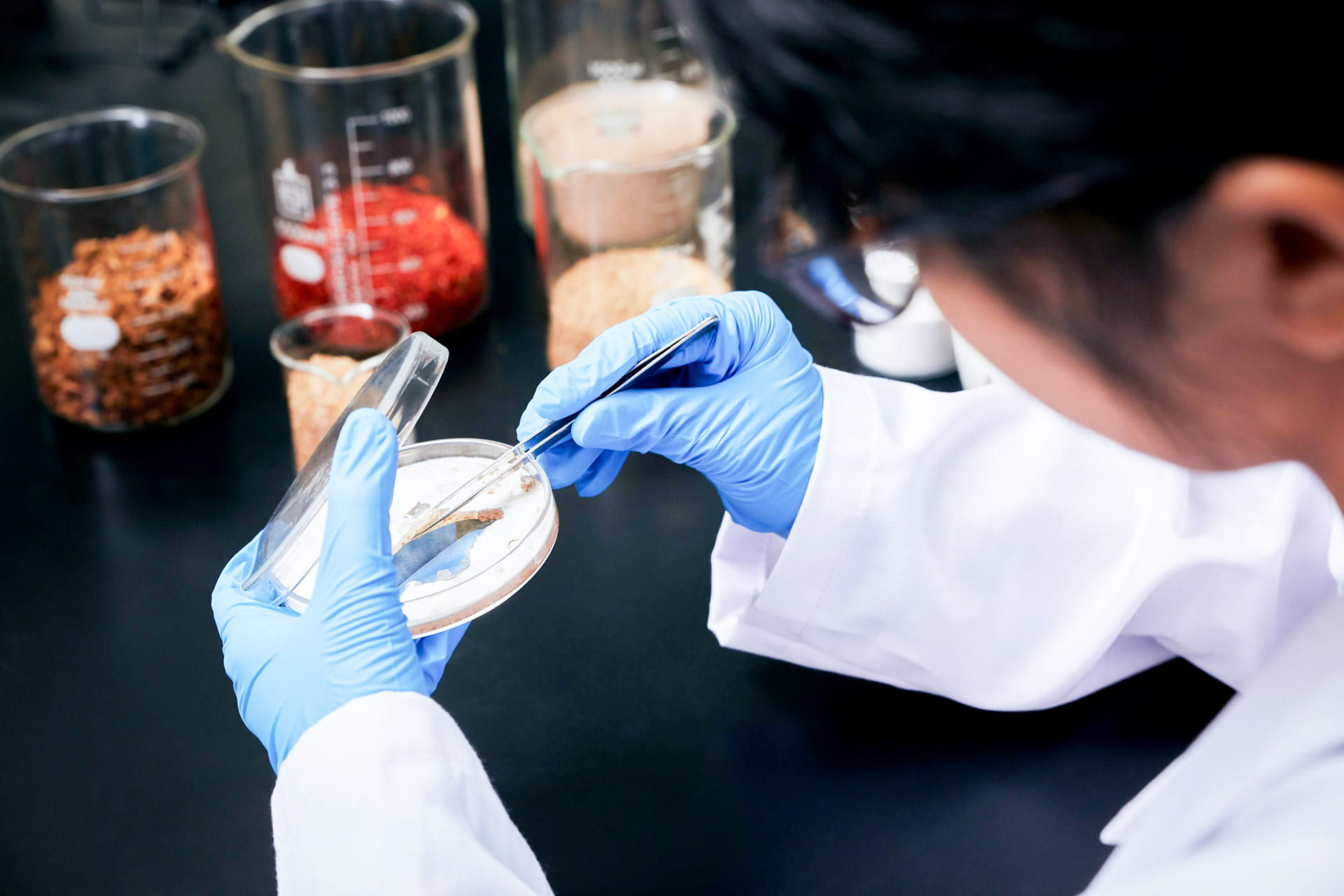 インドネシアの発酵食品テンペをヒントに Mycotech Labが素材「マッシュルームレザー」を開発 | AXIS Web | デザインの視点 ...