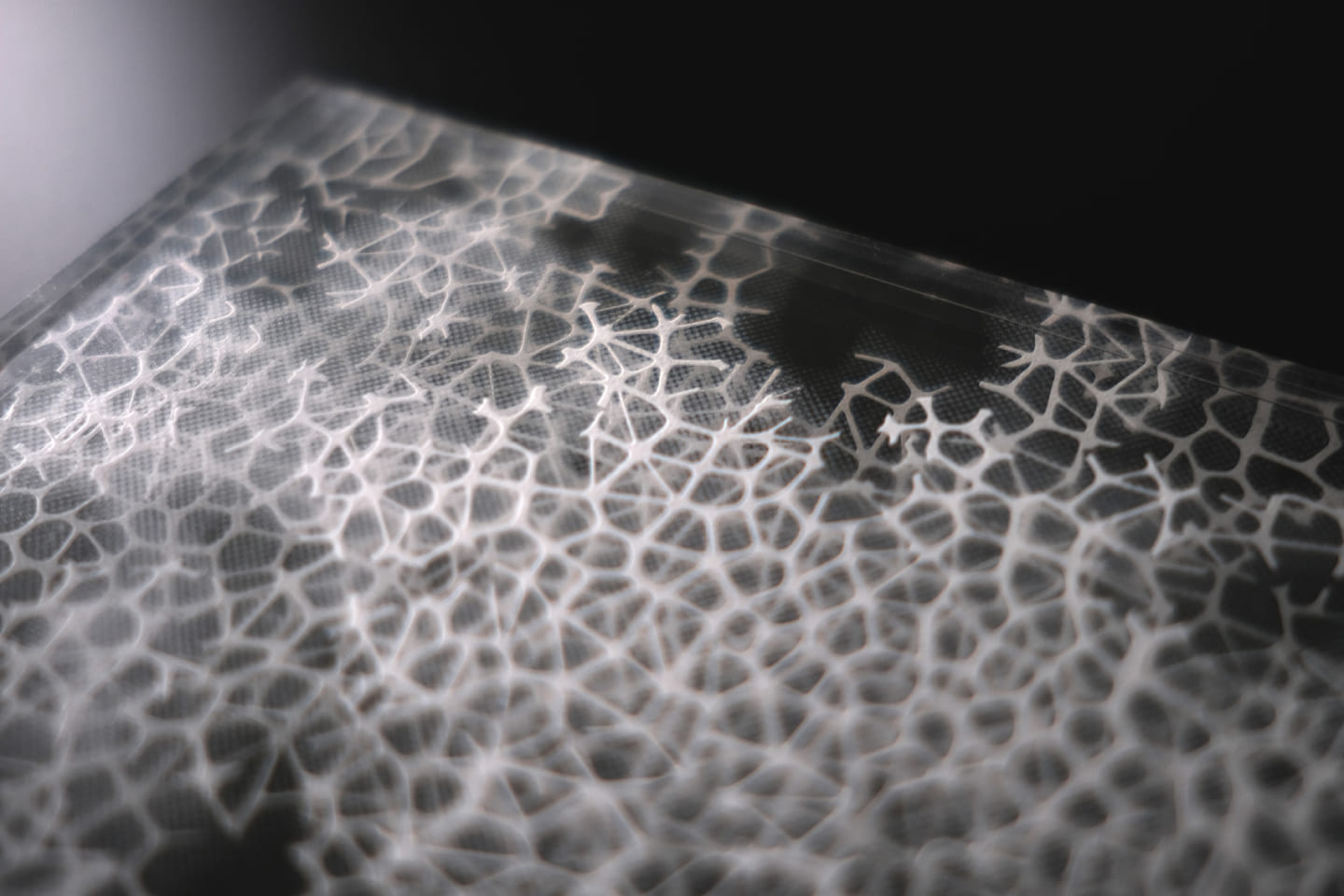 DNPモビリティイノベーティブチームによるデザインの実験室 「FUTURE-SPECT Lab. ―素材と思考のデザインスタディ―」開催 | AXIS Web | デザインの視点で、人間の可能 ...