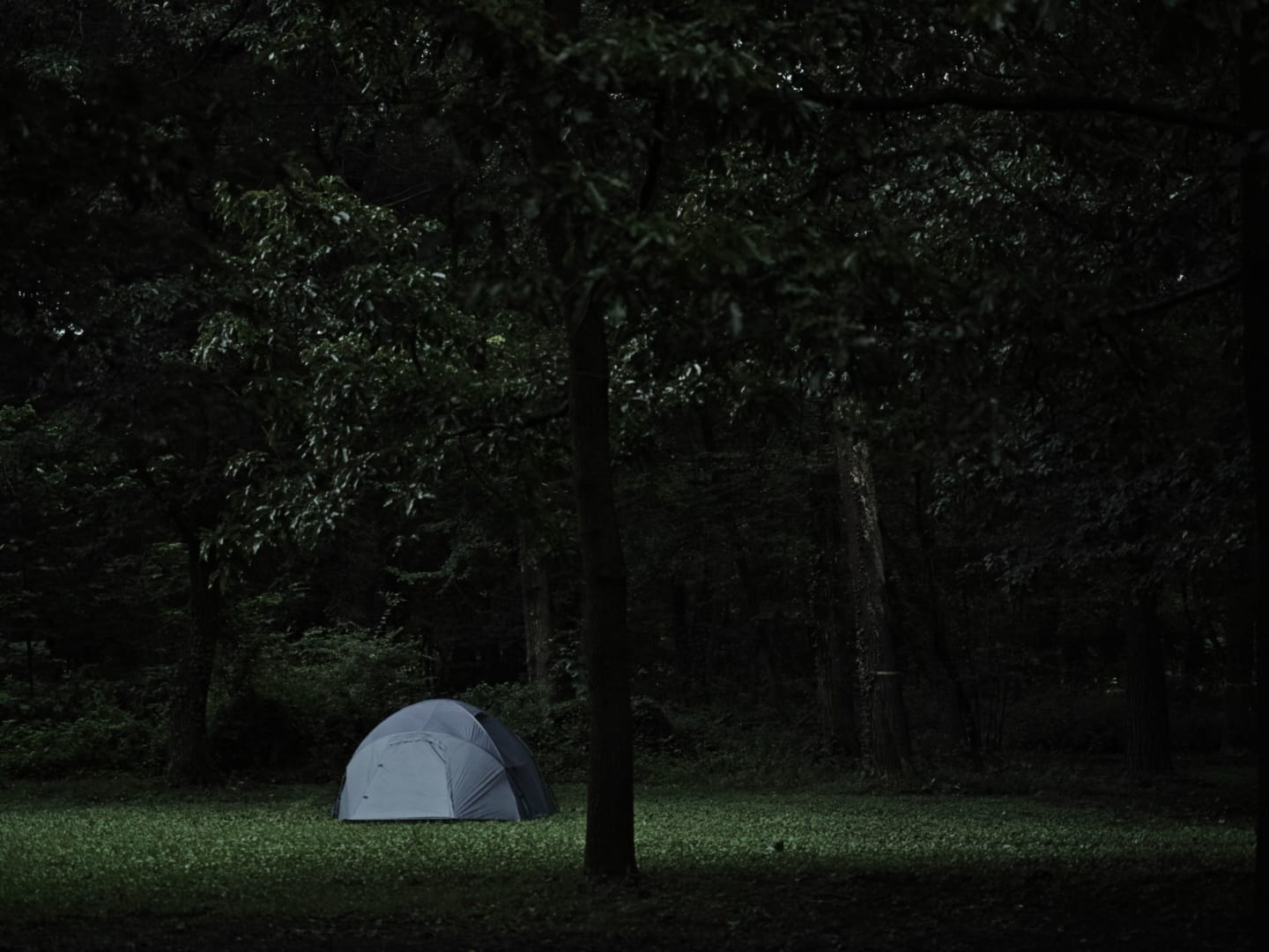 ものづくりブランドがobjcts.io 白金店に集結 「REFRAME 未来をプロトタイプするプロダクト展」 | AXIS Web | デザインの視点で、人間の可能性や創造性を伝えるメディア