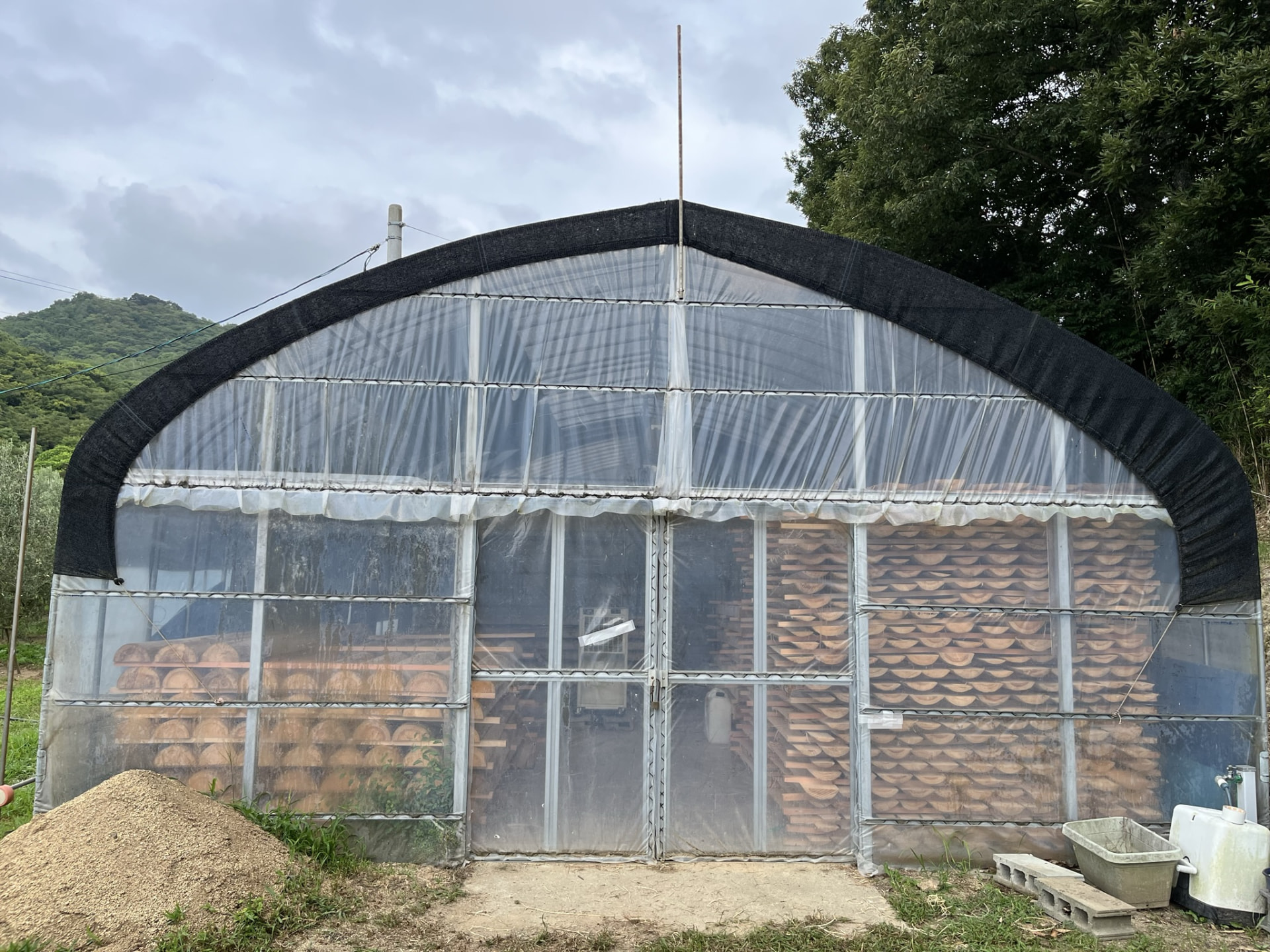 設計集団VUILDと建築の民主化を目指す 香川県・小豆島の「オリーヴの森」 | AXIS Web | デザインの視点で、人間の可能性や創造性を伝えるメディア