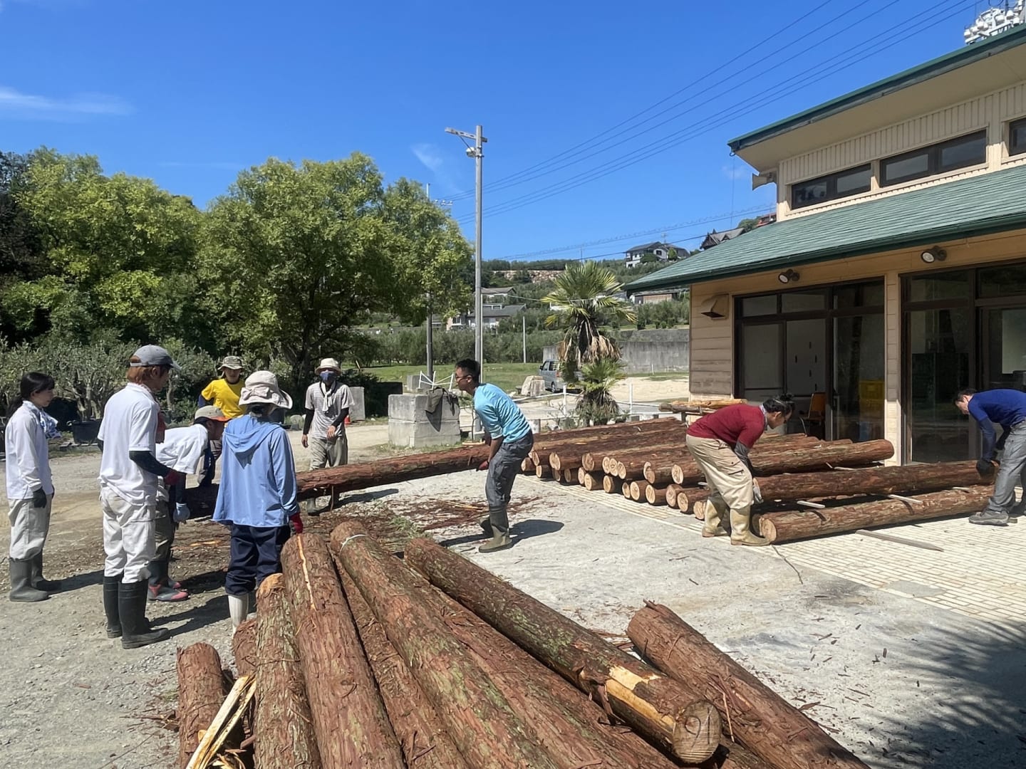 設計集団VUILDと建築の民主化を目指す 香川県・小豆島の「オリーヴの森」 | AXIS Web | デザインの視点で、人間の可能性や創造性を伝えるメディア