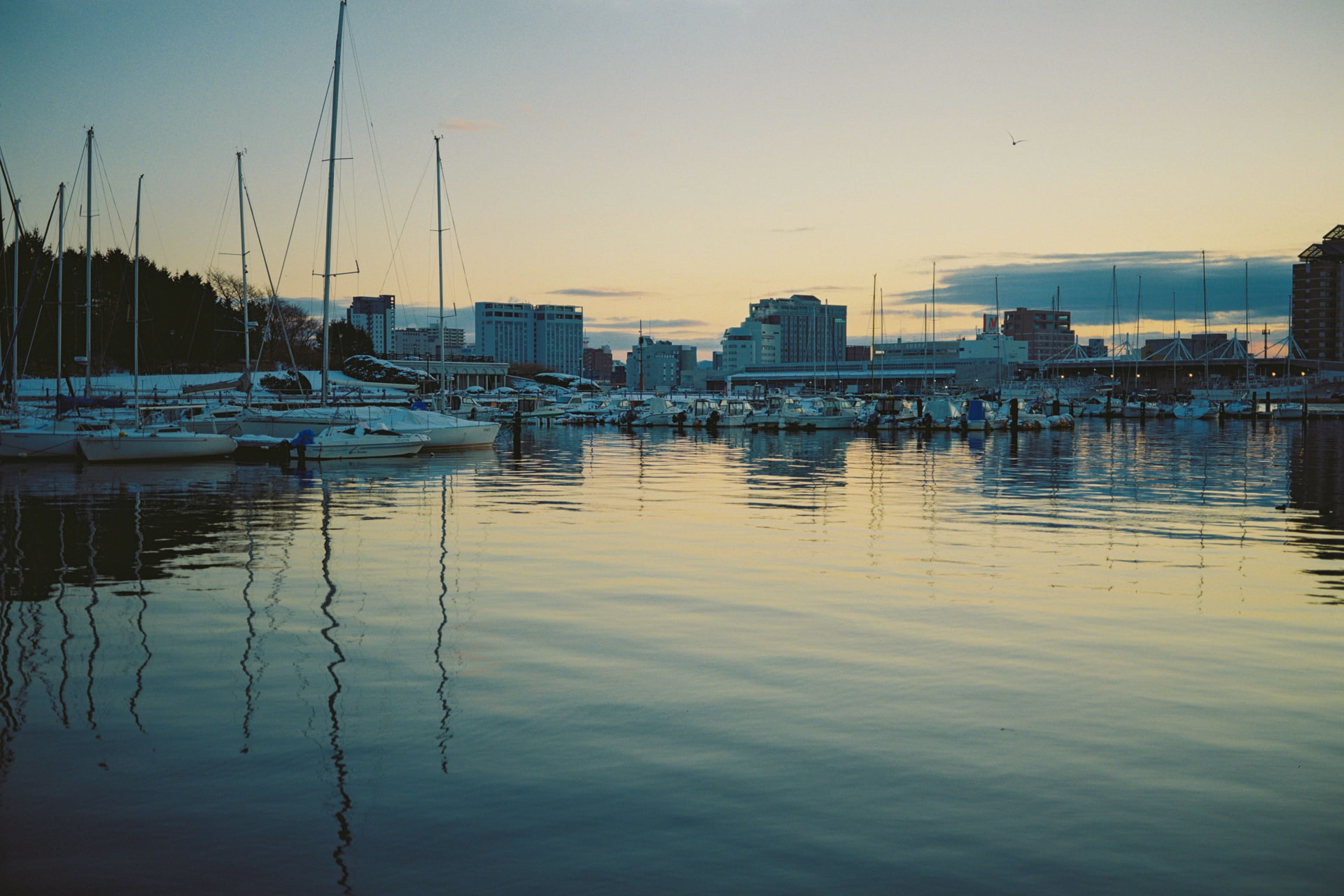 築約140年の建物を改修した一棟貸しの宿泊施設 函館港のそばに佇む「Portside Inn Hakodate」 | AXIS Web ...